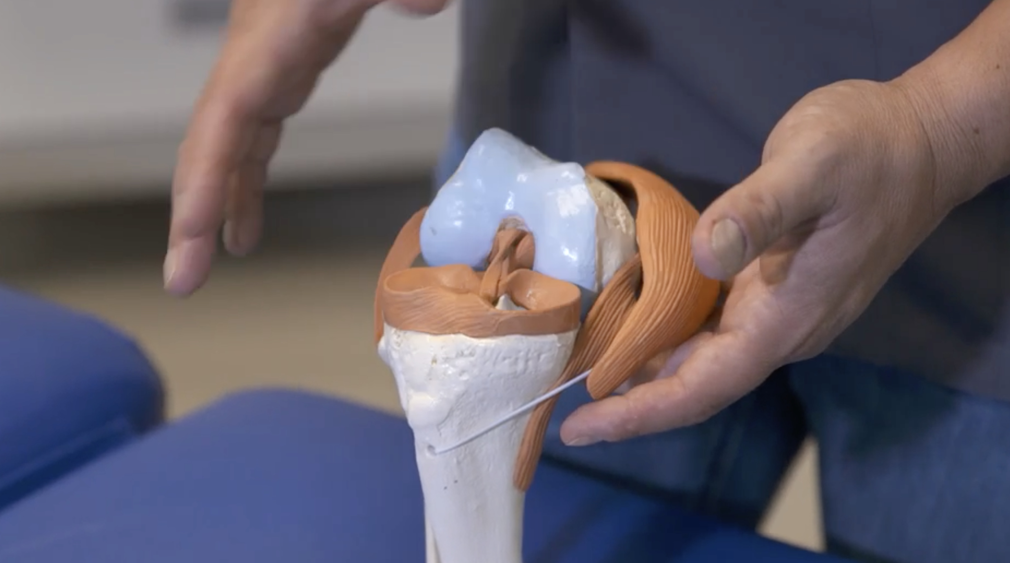 Rotura de menisco: causas, tratamiento y cómo prevenir | Canal Extremadura Rotura de menisco: causas, tratamiento y cómo prevenir | Canal Extremadura